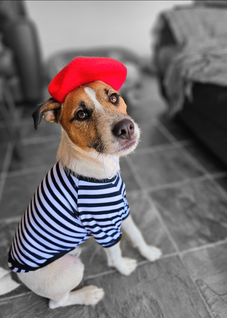 Selective Eating (Self-Regulation) – CDK9 Raw