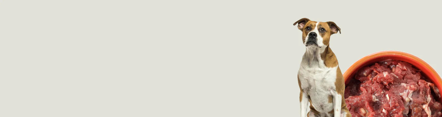 Bulk Raw Dog Food | Premium, Affordable Raw Meals in Bulk – CDK9 Raw